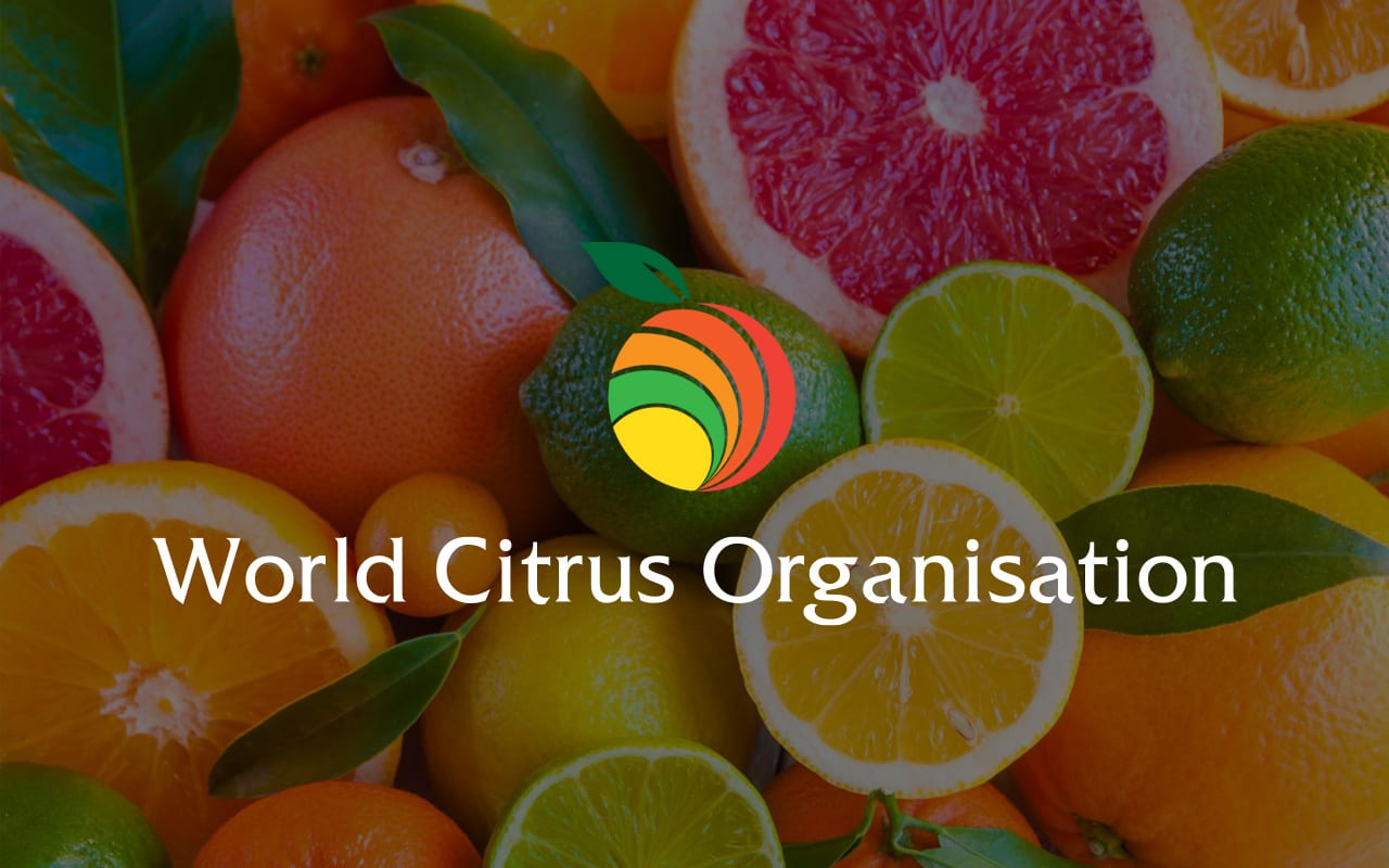 WCO in the news | worldcitrusorganisation.org